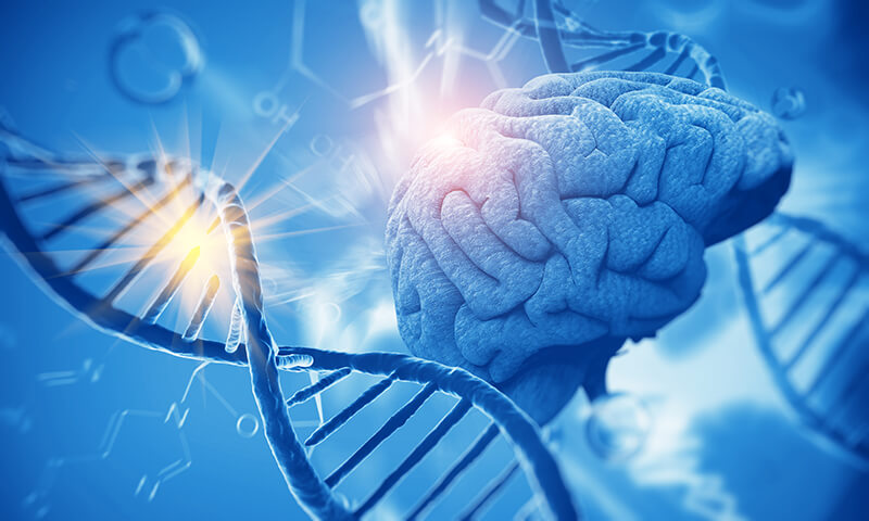 Genes for OCD identified